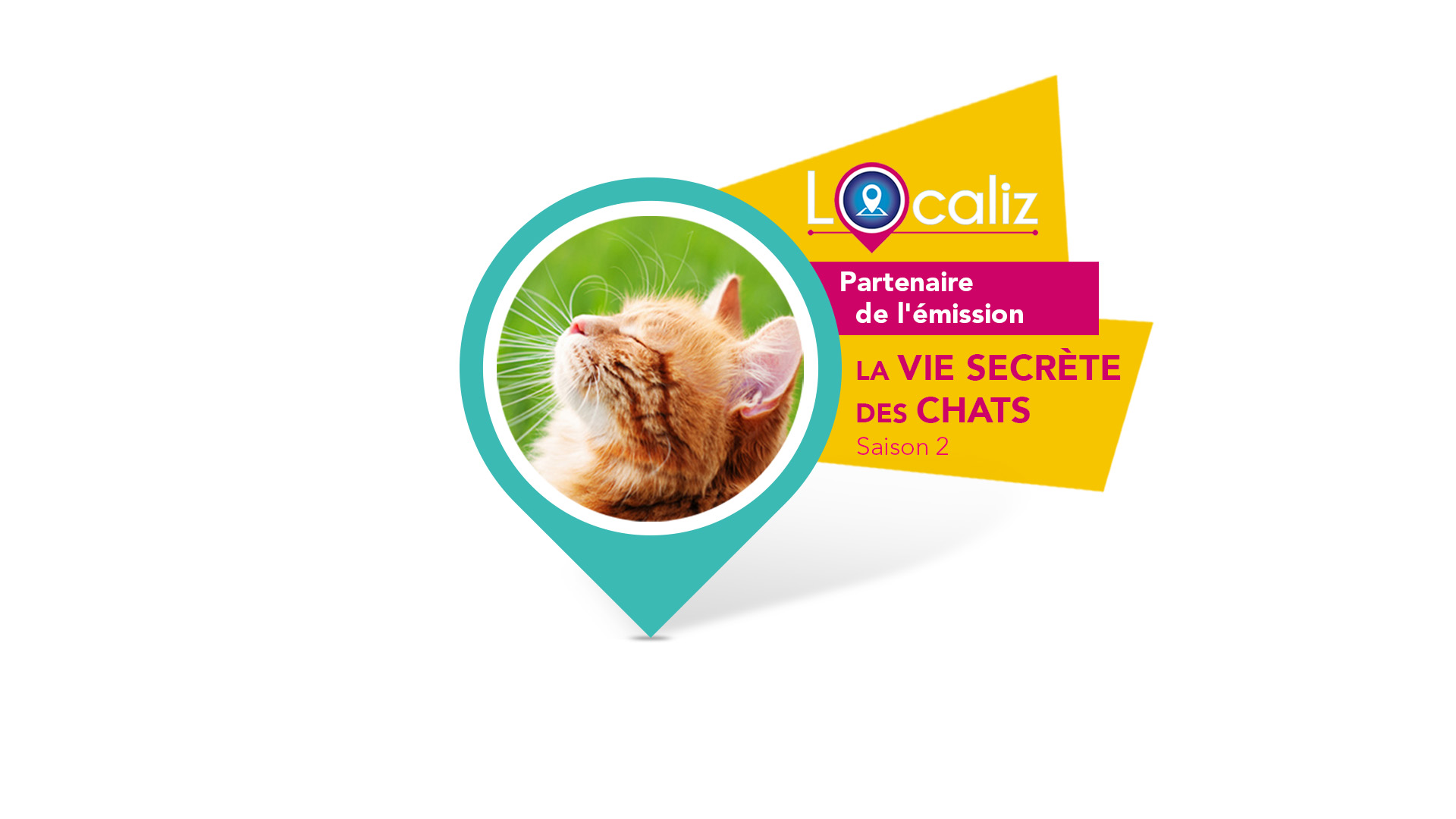 [TV] Localiz, partenaire technique de la "La vie secrète des chats" sur TF1