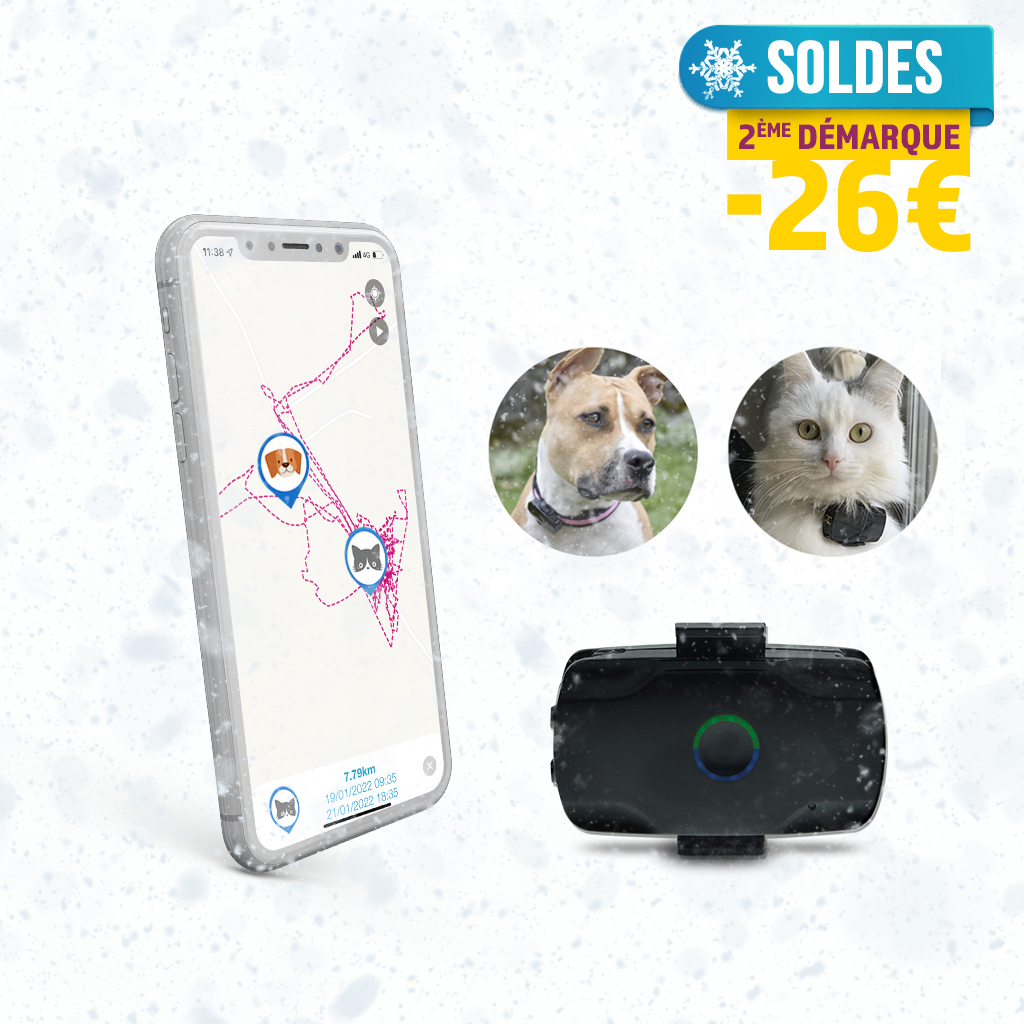 Prise USB Y recharge tracker LOOKAT de LOCALIZ