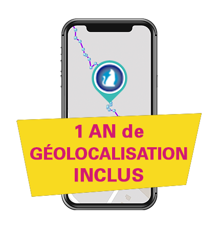Géolocalisation de votre chat : "Le Lookat de Localiz"