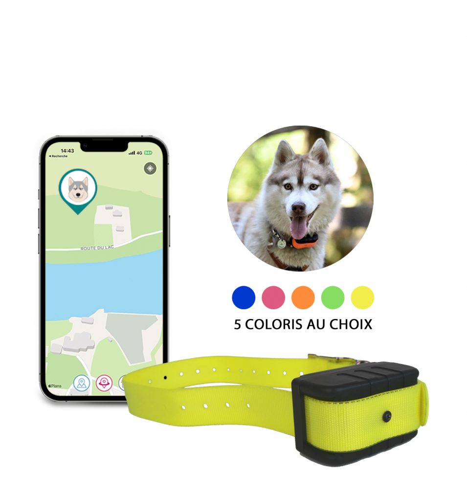Collier gps pour chiens sans abonnement, suivez-les en temps réel